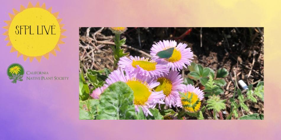 Presentation: Drought Tolerant Gardening with San Francisco Native ...