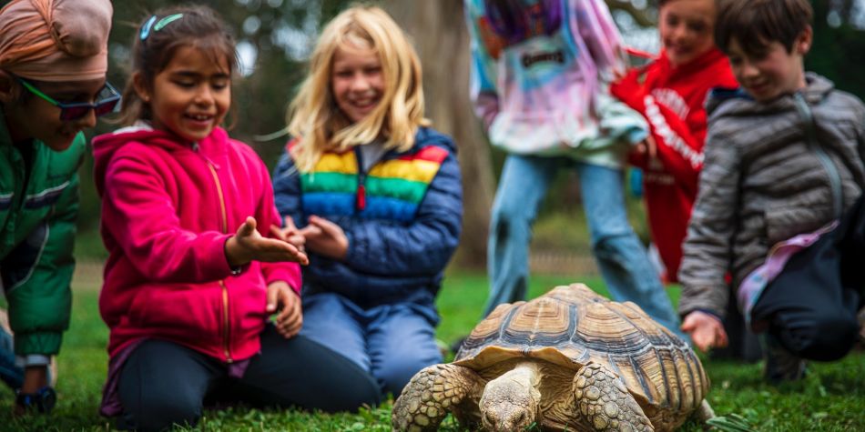 Presentation: Tree Frog Treks | San Francisco Public Library
