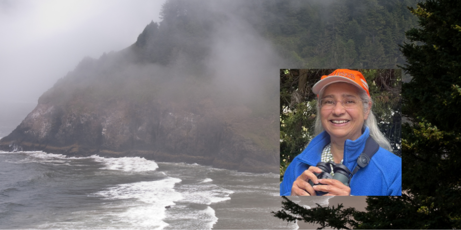 Presentation: The Secret Life of Fog with Alicia Torregrosa, Fog ...