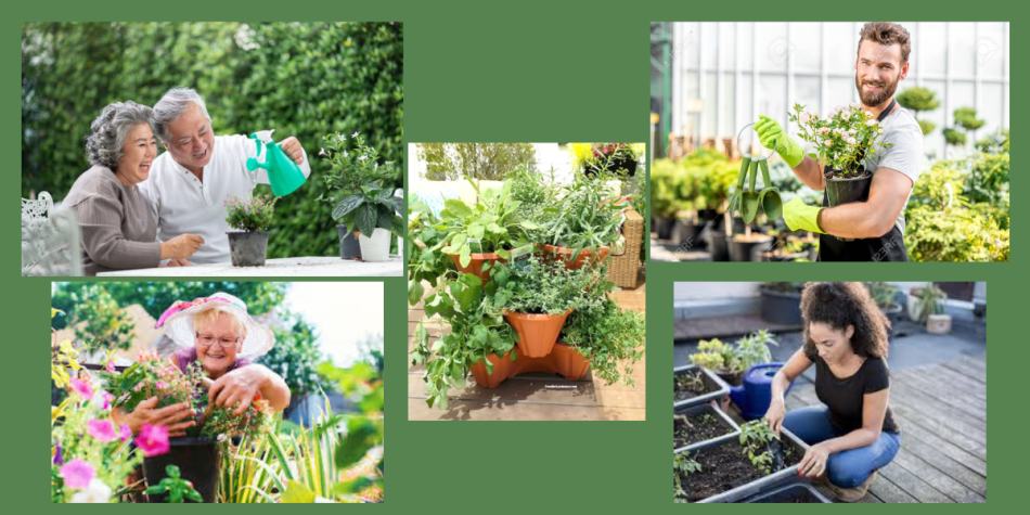 Workshop: Container Gardening with Garden for the Environment | San ...