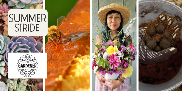 Bookmobiles / Mobile Outreach | San Francisco Public Library