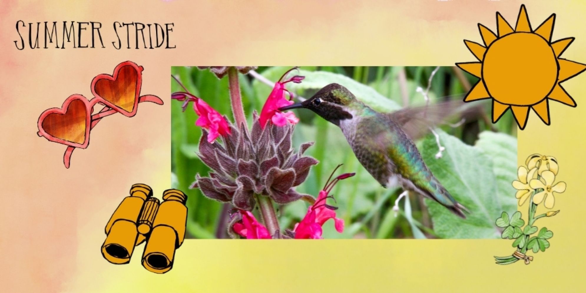 Presentation: Children's Gardens with San Francisco Native Plants | San ...