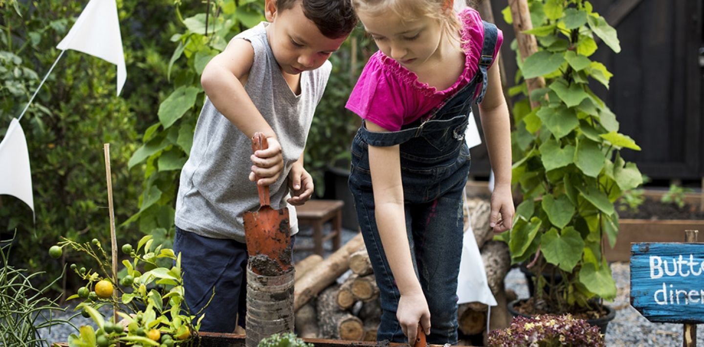Activity: Gardening Club | San Francisco Public Library